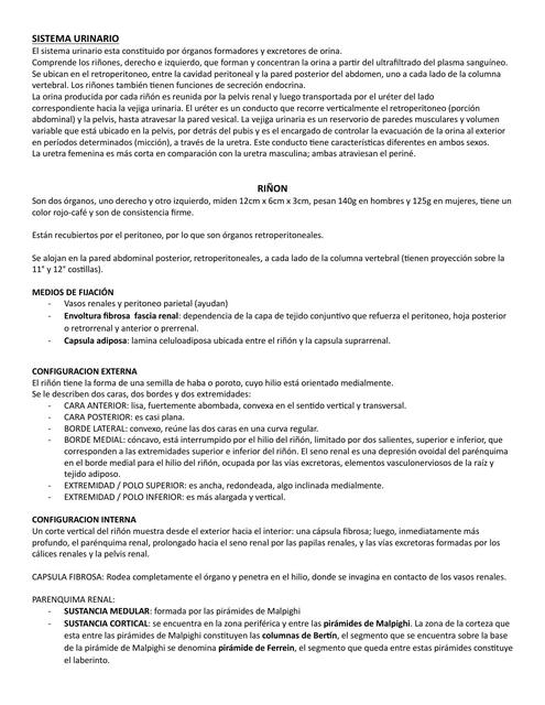 SISTEMA URINARIO | Giuliana Errico | uDocz