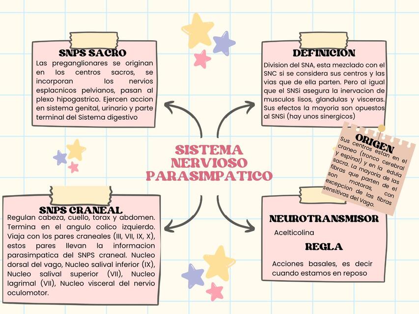 SNPS pdf | Valentina Lozada | uDocz