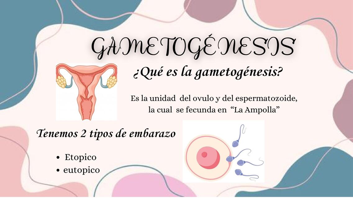 gametogénesis | Shirley Dayana Rueda Moncada | uDocz