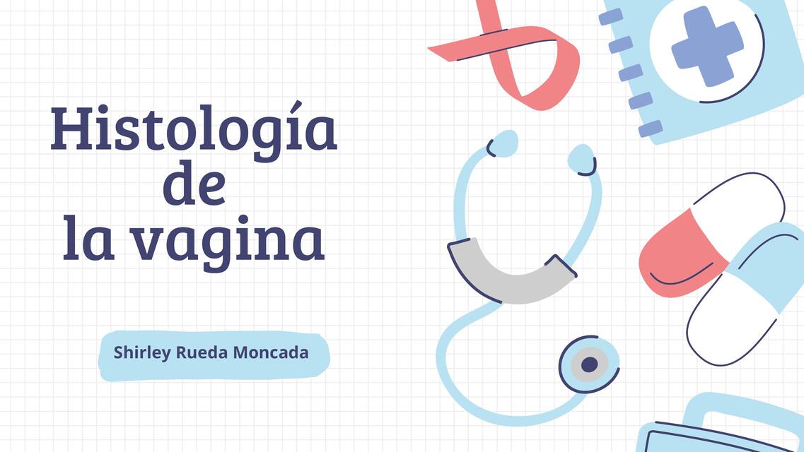 Histologia de la vagina placas | Shirley Dayana Rueda Moncada | uDocz