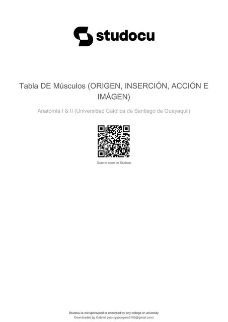 tabla de musculos origen insercion accion e imagen | Gabriel | uDocz