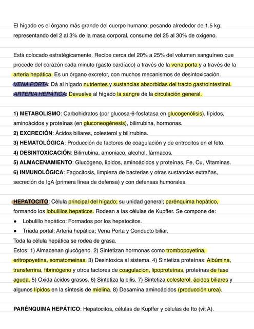 Bioquímica y Metabolismo del Hígado | Lily Duarte | uDocz