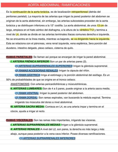 Ramificaciones de la Aorta Abdominal | Lily Duarte | uDocz