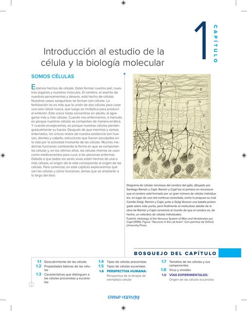 Flashcards de Biologia Celular Karp 8a Edicion capitulo 1 | Por reyna ...