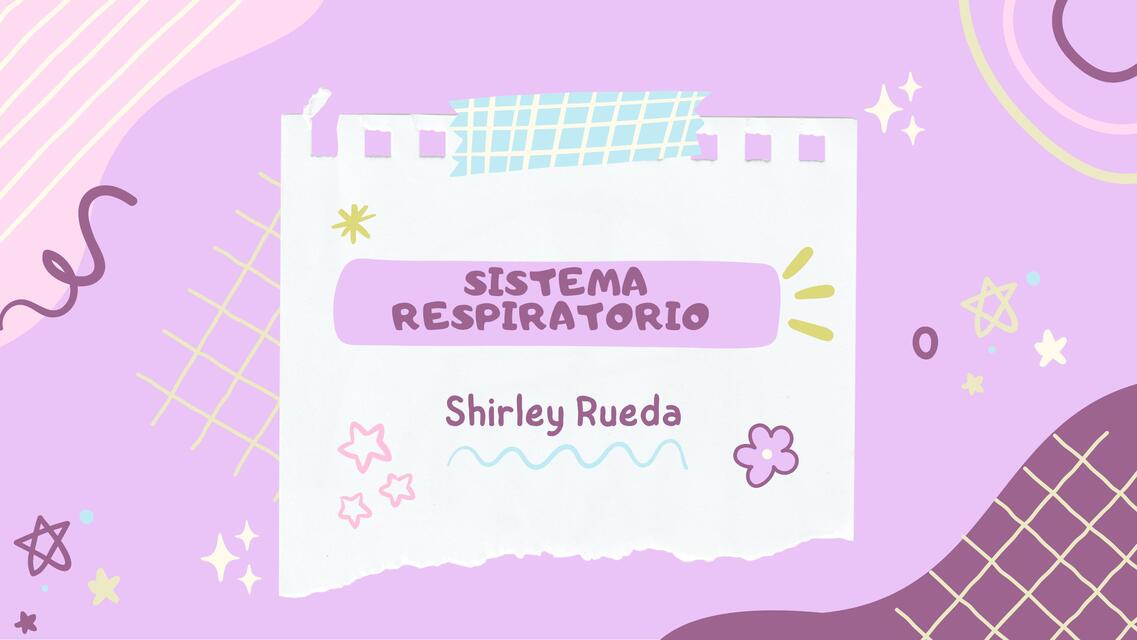 sistema respiratorio y cardiovascular HISTOLOGIA | Shirley Dayana Rueda Moncada | uDocz