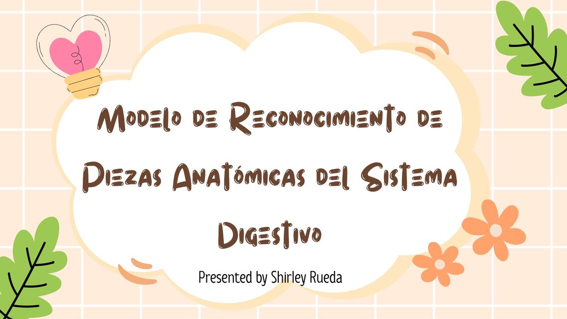 Piezas Anatómicas del sistema digestivo | Shirley Dayana Rueda Moncada | uDocz