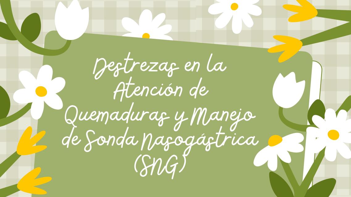 Quemadura y sonda nasogastrica | Shirley Dayana Rueda Moncada | uDocz