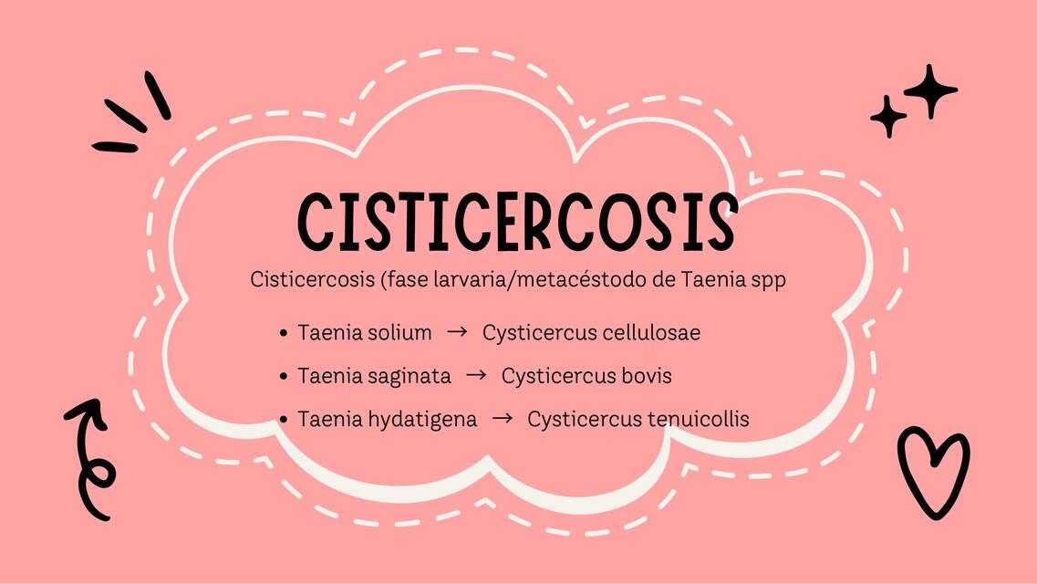Cisticercosis | darlyn | uDocz