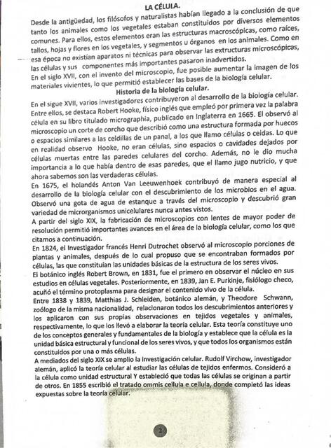 Nuevo Documento | uDocz