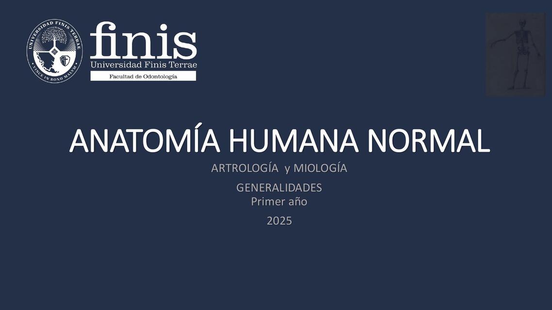 Flashcards de Generalidades Artrologia y Miologia | Por Dr. Jaime | uDocz