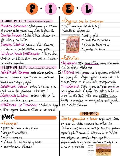 Piel | Rafaella | uDocz