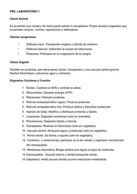 Documento sin título 3 | Sofia | uDocz
