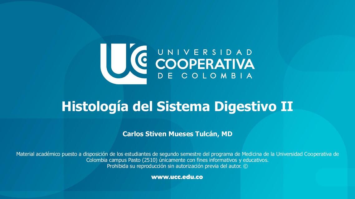 Sistema Digestivo | uDocz