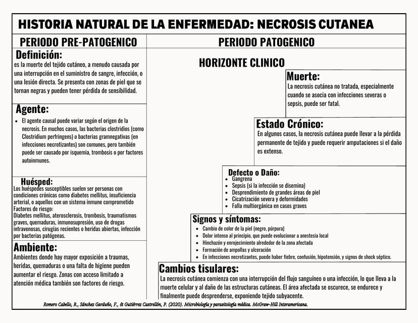 HNE NECROSIS CUTANEA | Carlos Galvan | uDocz