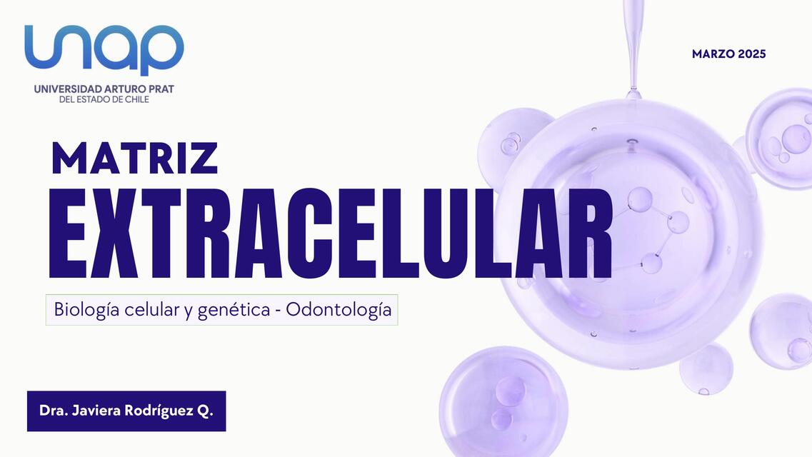 PPT 2 Biología | Camila | uDocz