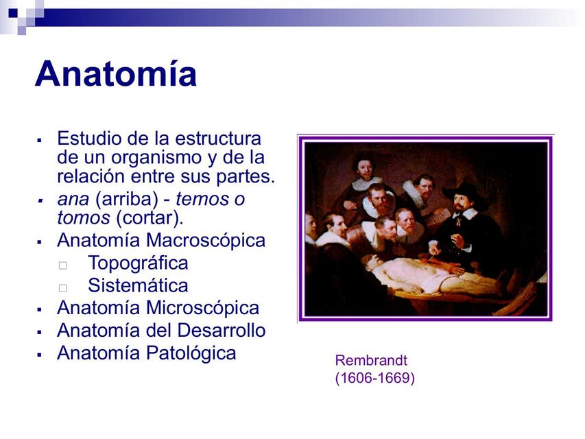 GENERALIDADES ANATOMIA 25 | Paris José Pérez Rubio | uDocz