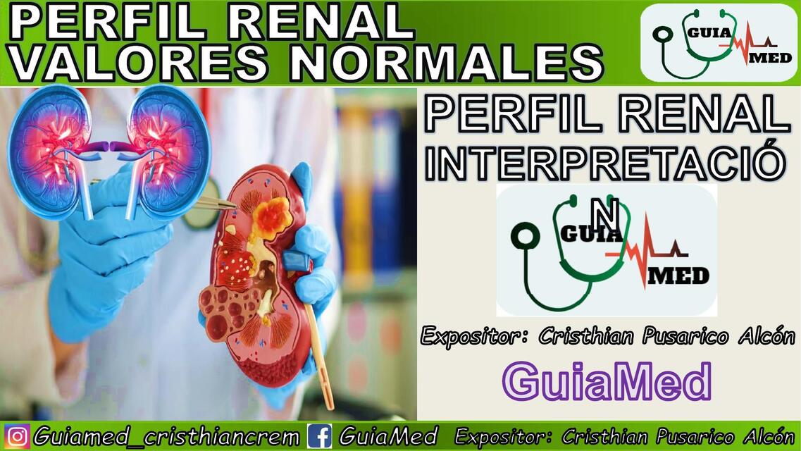 PERFIL RENAL | Salinas Tejada Heidy | uDocz