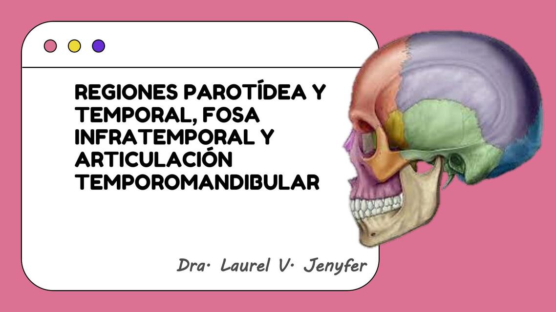 2 REGIONES PAROTÍDEA Y TEMPORAL FOSA INFRATEMPORAL | Han Hyo | uDocz