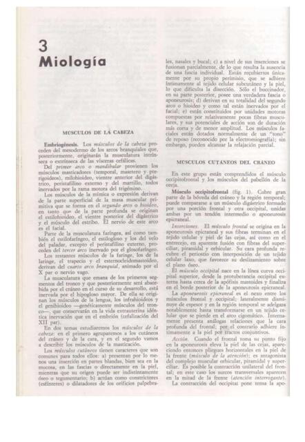 miologia figun | Gabriela | uDocz