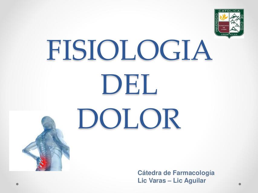 fisiologia del dolor | Noelianataliplatone Noelianataliplatone | uDocz