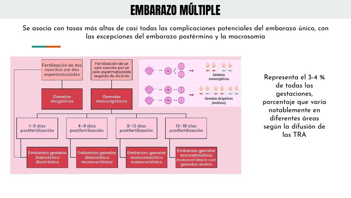 EMBARAZO MÚLTIPLE | Apuntes Medicos | uDocz