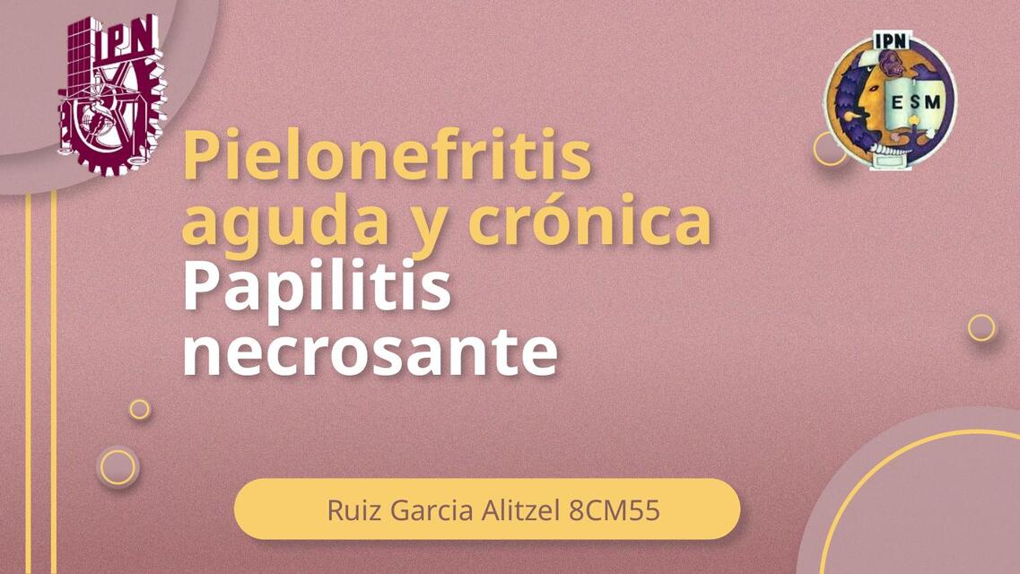 Pielonefritis | Alitzel Ruiz | uDocz