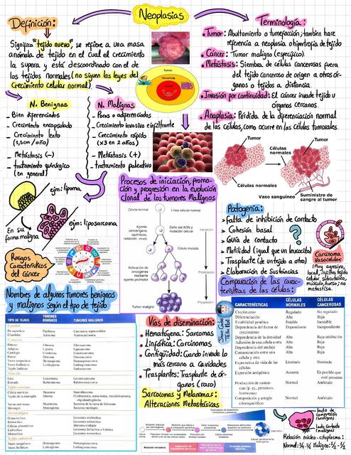 Neoplasias | Jhan Carlos Ticlla Mori | uDocz