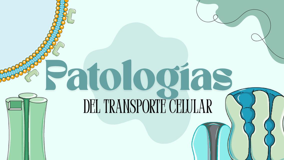 Deficiencia de GLUT1 | Sara | uDocz