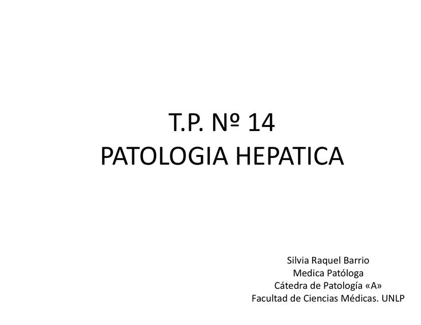 TPN 14 | Victoria Fernández | uDocz