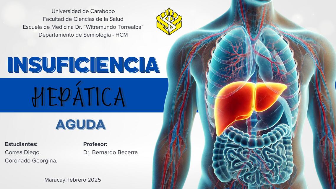 Flashcards de Insuficiencia Hepática aguda | Por Georgina Coronado | uDocz