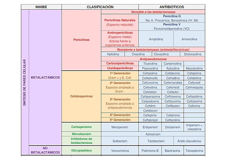 Tabla de antibioticos | Edu Cumpa | uDocz
