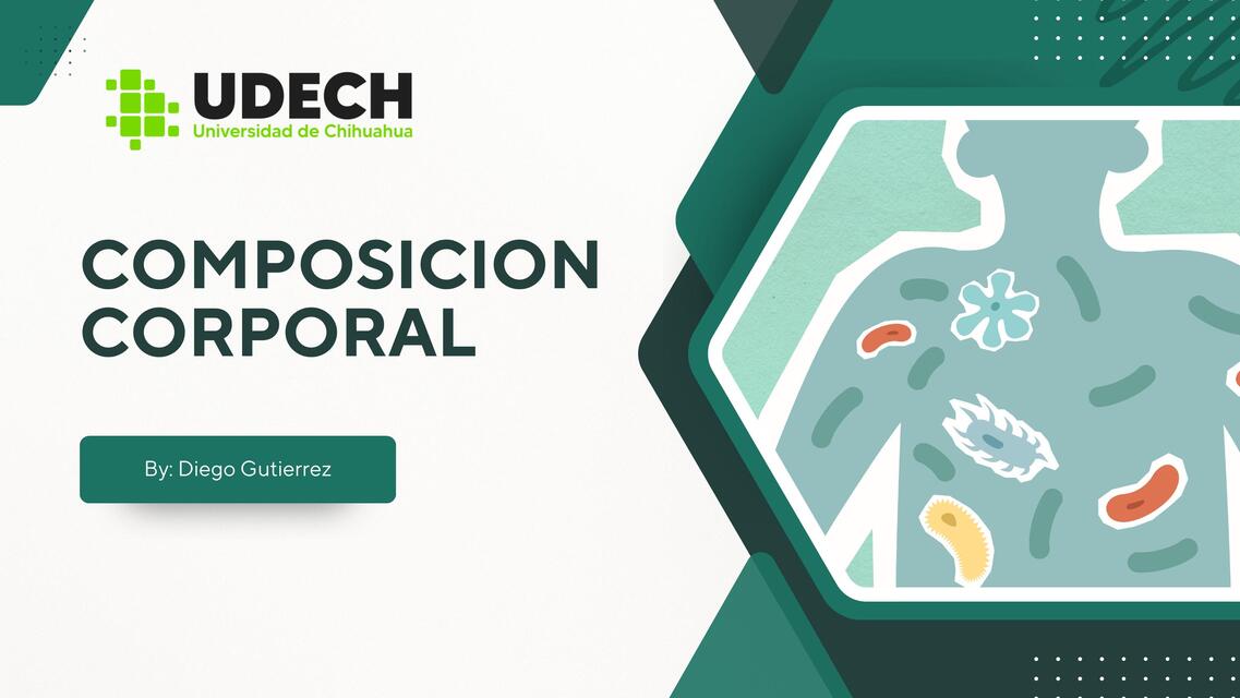 Flashcards de Composicion corporal | Por Diego Gutierrez | uDocz