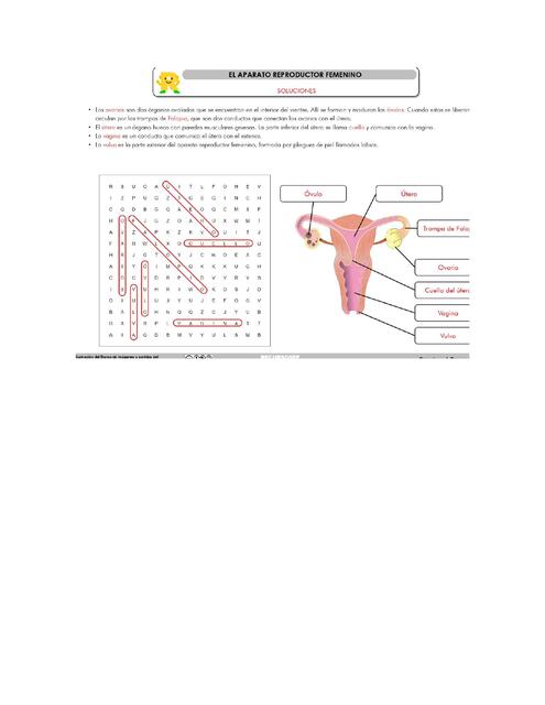 jajjaja | ANGELITA NOEMI PAREDES ORTIZ | uDocz