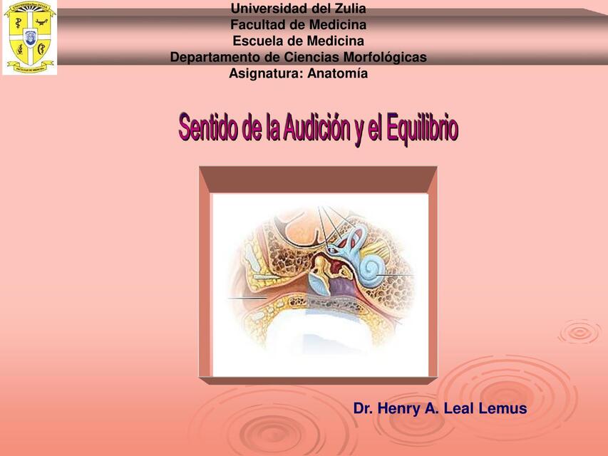 Sentido de la audición y el equilibrio | Arianna | uDocz
