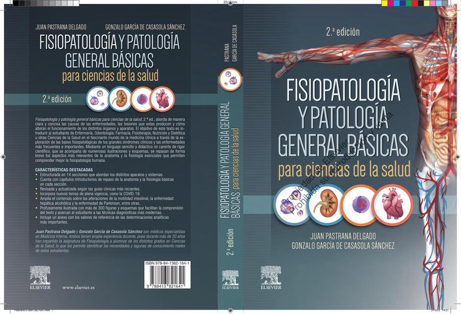 Document Massi Udocz