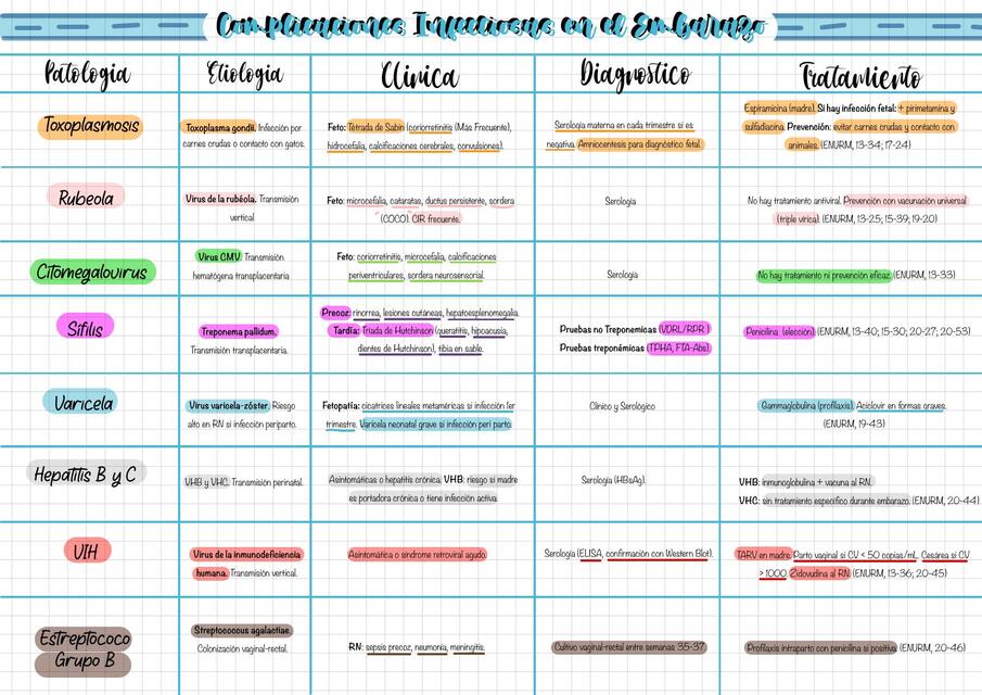 Complicaciones Infecciosas en el Embarazo TORCH | Dr. Castro | uDocz