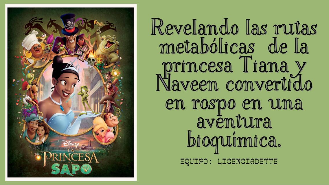 RUTAS METABOLICAS presentación | Estefani | uDocz