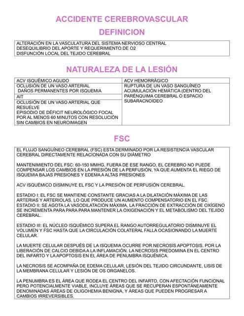 RESUMEN ACV | Vivi Navarro | uDocz