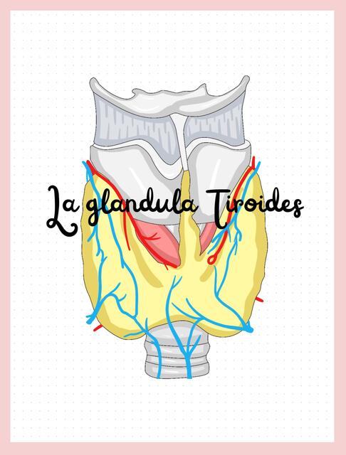 Tiroides | ABI HERNÁNDEZ | uDocz