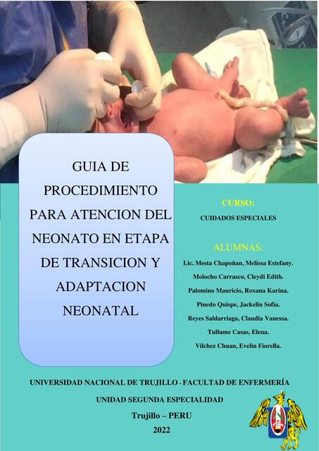 Guía de procedimiento para atención del neonato en etapa de transición ...