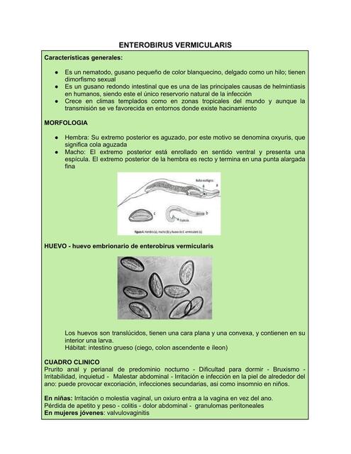 OXIURIASIS | andreaaa | uDocz