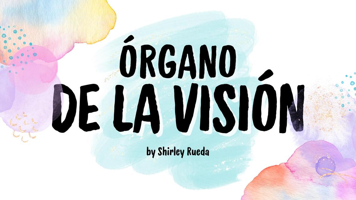 Órgano de la visión | Shirley Dayana Rueda Moncada | uDocz
