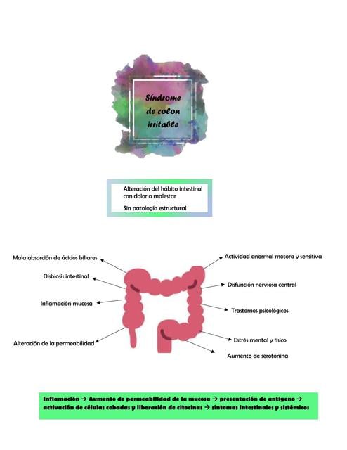 Síndrome de colon irritable | Silvana López Tristán | uDocz