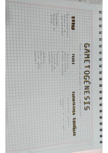 Gametogénesis | SOFIA | uDocz