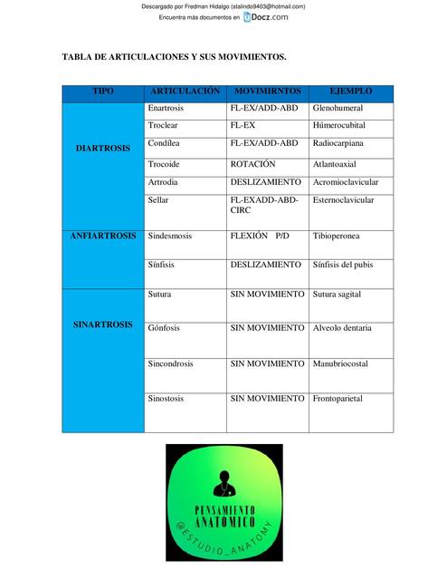 Clasificación de articulaciones | Fredman Hidalgo | uDocz