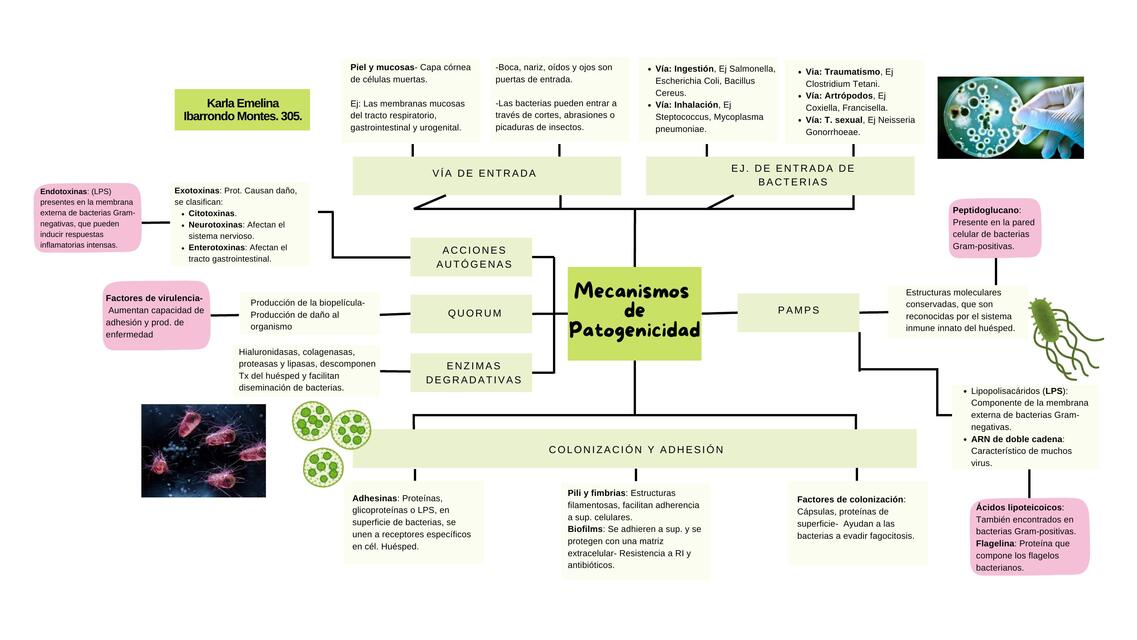 Mecanismos de Patogenicidad | Karla | uDocz