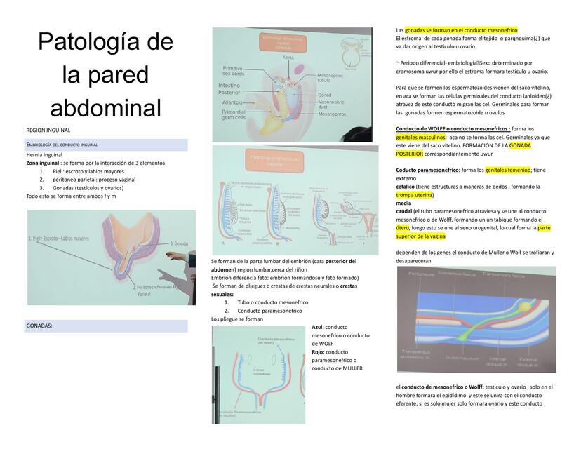 HITO 3 TEMA 4 SÉPTIMO SEMESTRE CIRUGIA | Clara_Aylin Cussy_Arias | uDocz