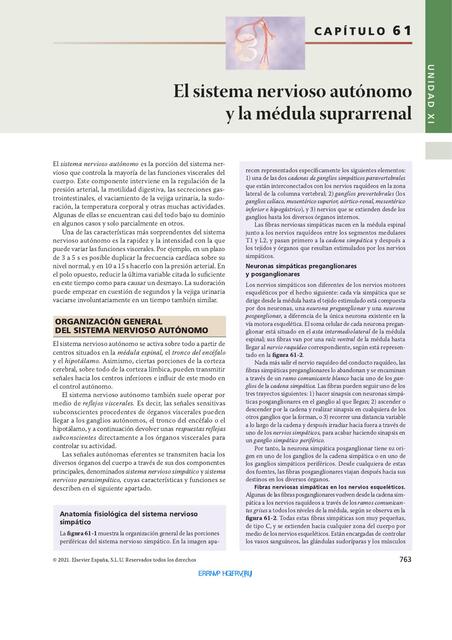 Flashcards de U4 Capitulo 61 Guyton y cap tulo 13 Ganong | Por Rafael | uDocz