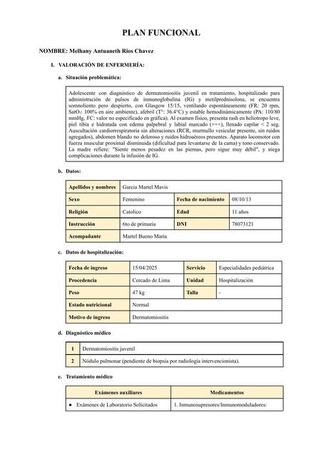 PLAN FUNCIONAL FORMATO NIÑO docx 2 | MELHANY ANTUANETH RIOS CHAVEZ | uDocz