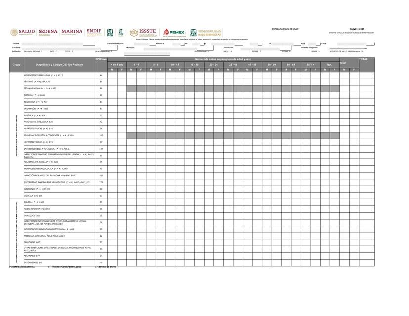 ANEXO 1 Formato SUIVE 1 | Rufino Contreras Ramirez | uDocz